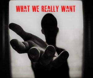 What We Really Want | The Moral Compass